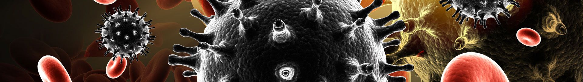 One Health Research | One Health Platform